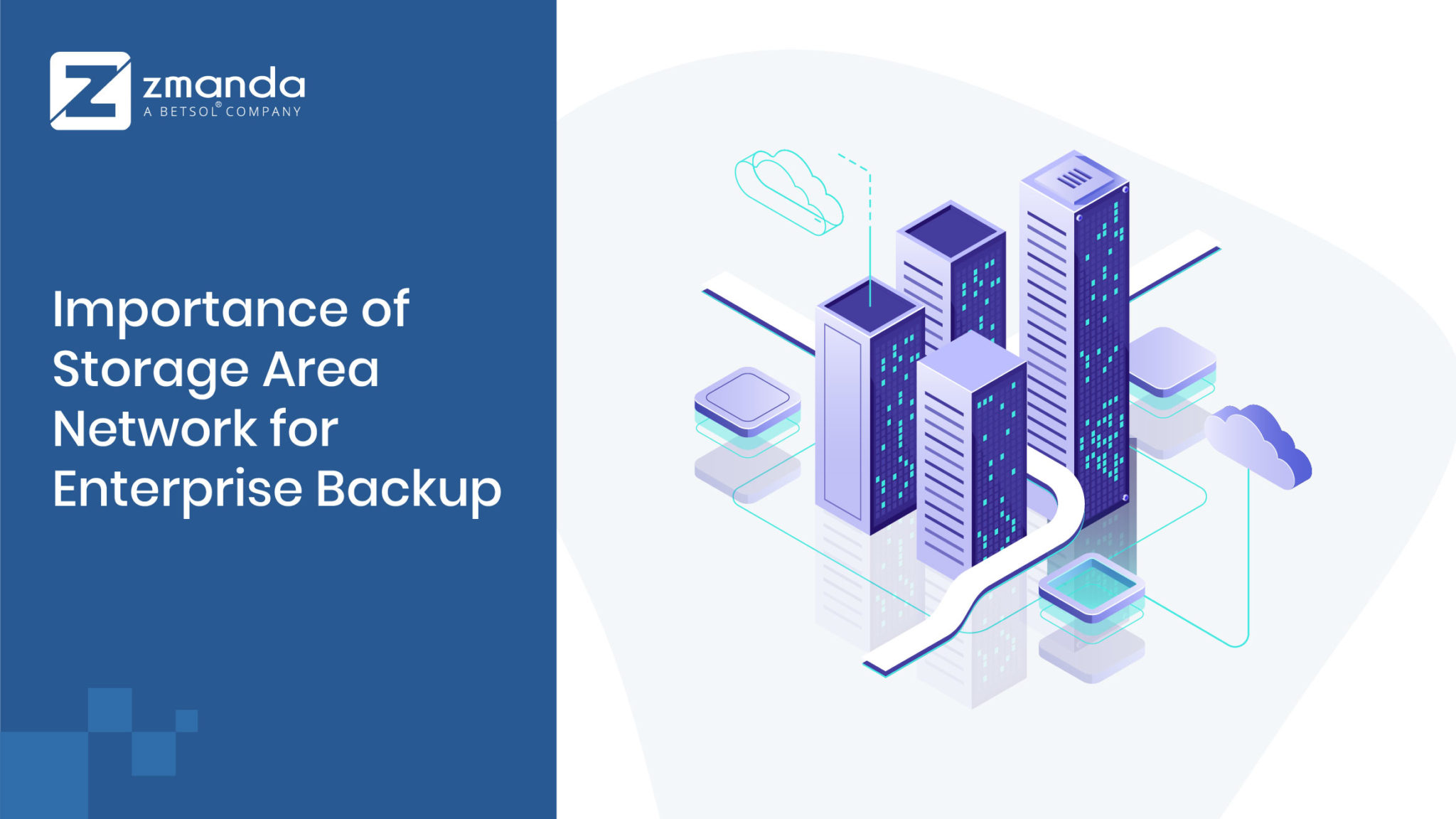 Storage Area Network | SAN Your Backup Storage Solution | Zmanda